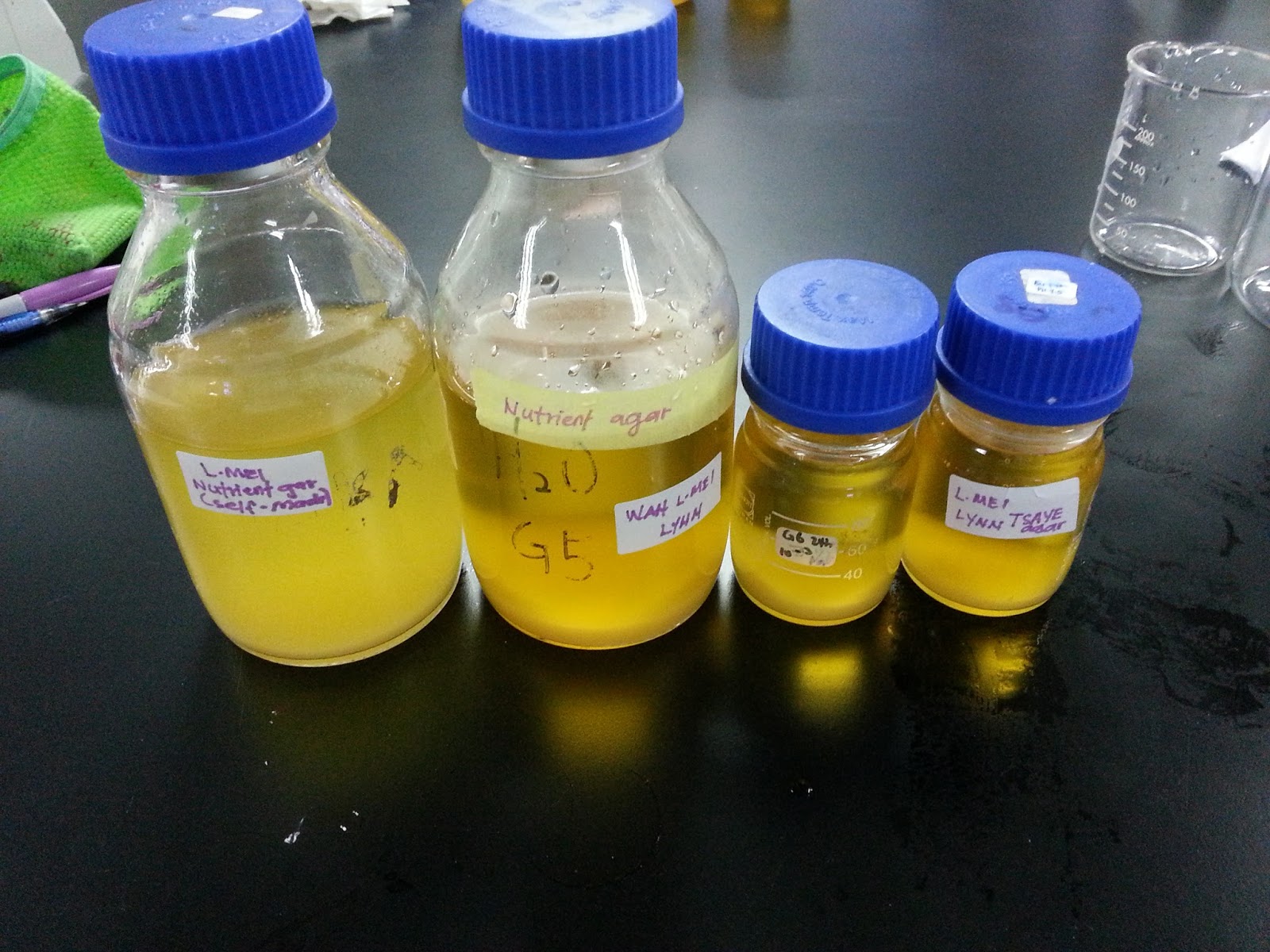 Only IBG 102: October 2015