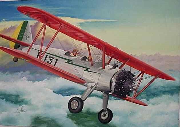 NELSON ANAYA - A ARTE AERONÁUTICA