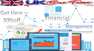 Financial Management Assignment for Turning Passion into Profit ...