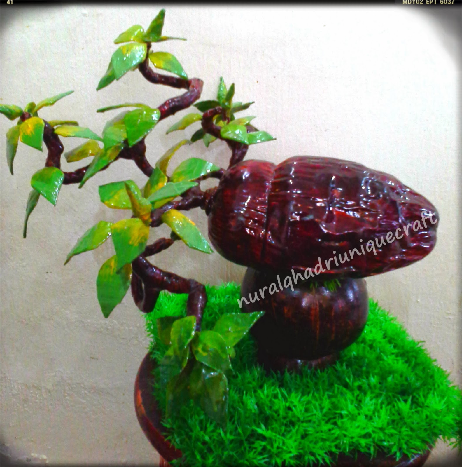 NUR AL-QHADRI UNIQUE CRAFT: KOLEKSI POKOK BONGSAI KELAPA KOMENG