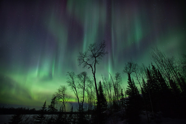 Simply Words: Viridescent