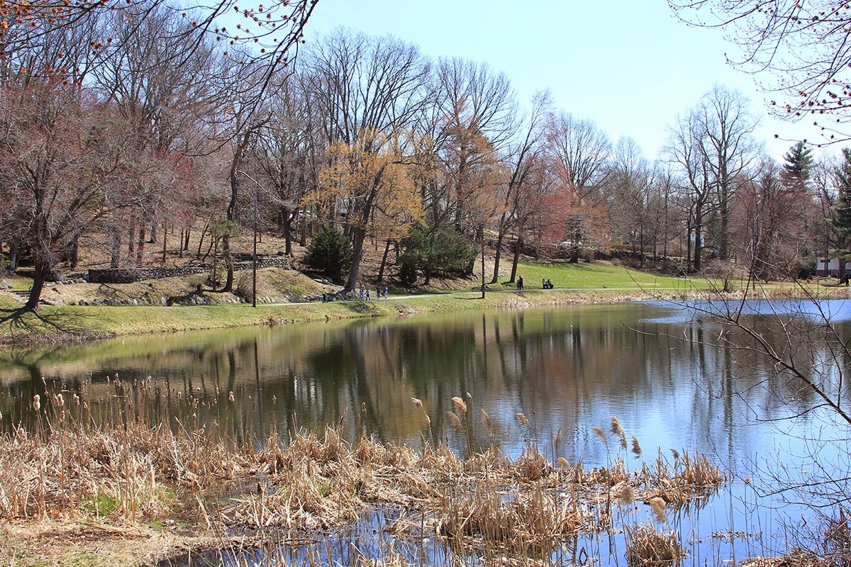 Waterbury Thoughts: Springtime at Fulton Park