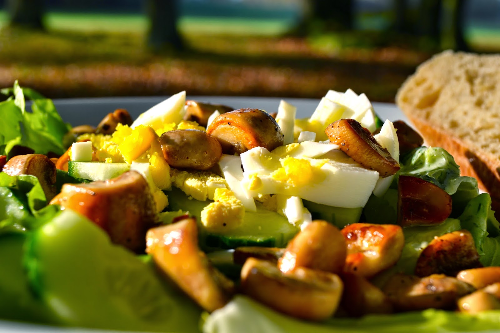 clubzimmer: Salat mit Pilzen & Dilldressing