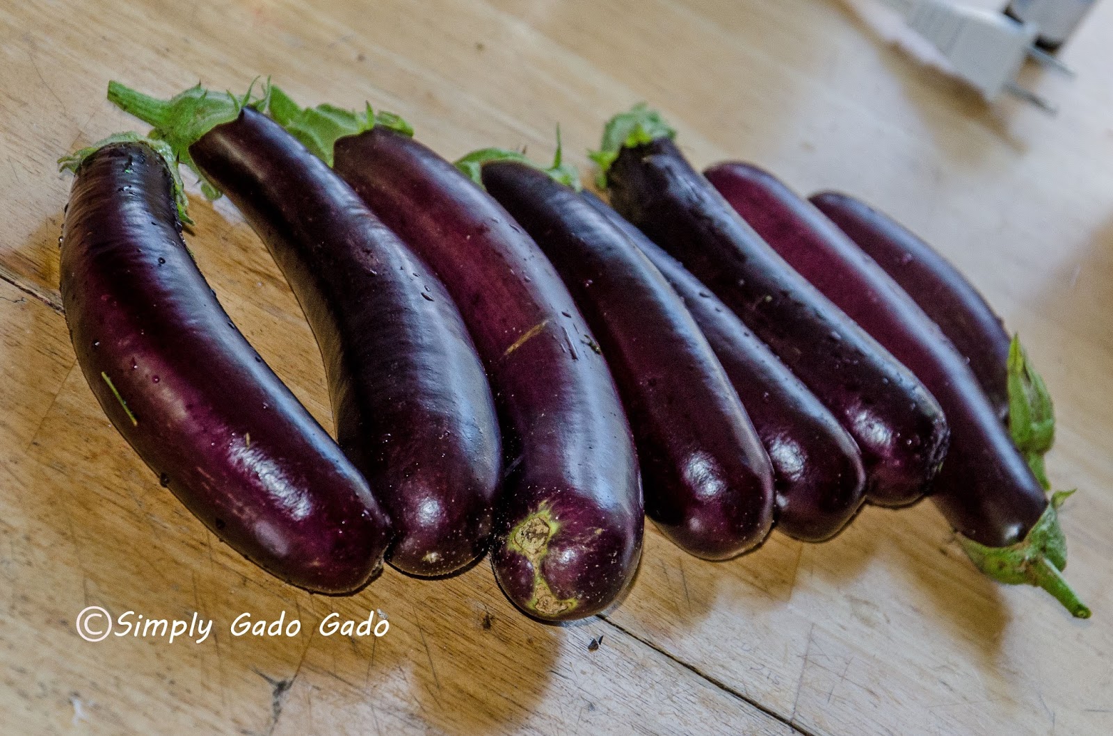 Simply Gado Gado: Catatan Menanam Terung Tahun 2015