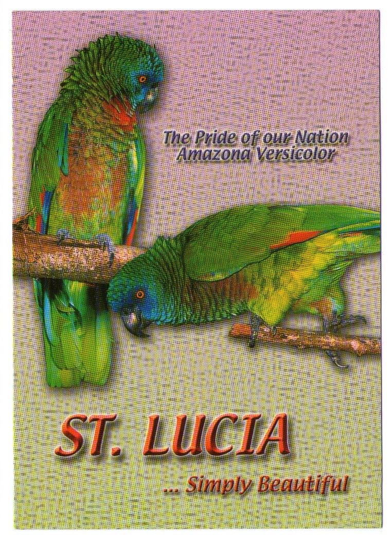 Postcards Journey: Saint Lucia - National Bird