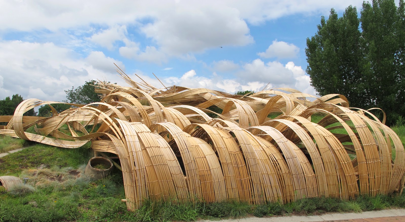 Robin Talks, Cooks and Travels: An explosion of Bamboo at the Denver ...