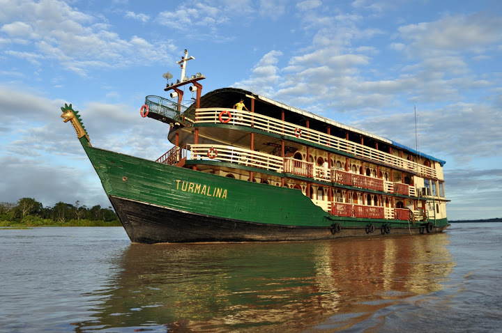 The Amazon, Part 1: The Riverboat and the Hoatzin Birds