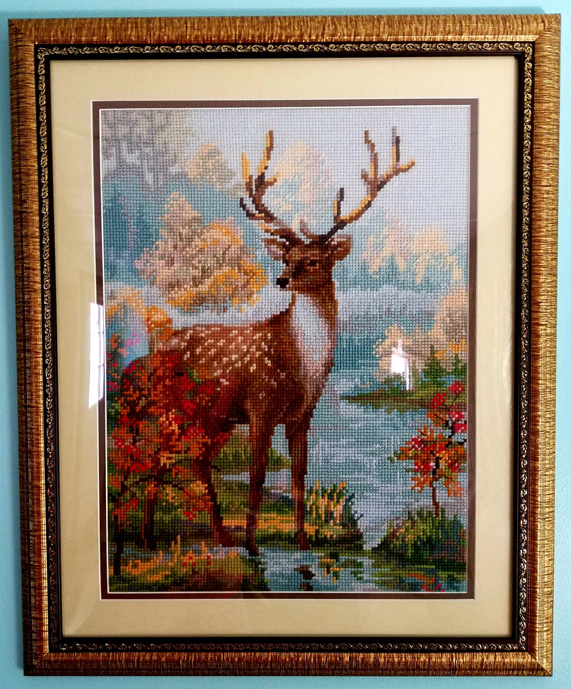 Colorfull Creations: Needlework