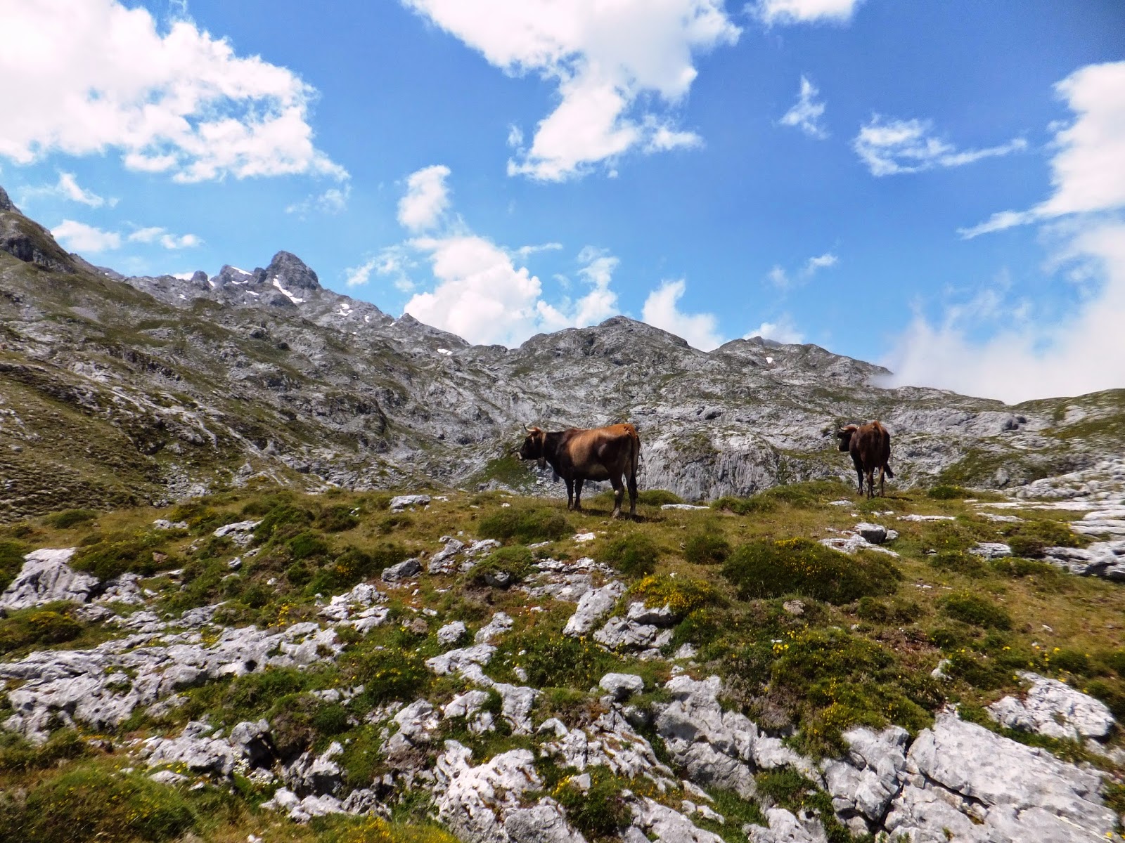 Alex Meinema: July 2014