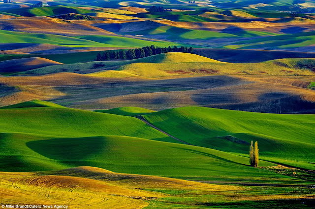 High Prairie Farmgirl: Visiting The Palouse