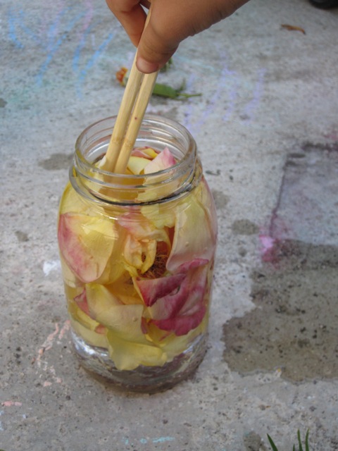 Fun Friday: Scented Flower Petal Potions - GoExploreNature.com