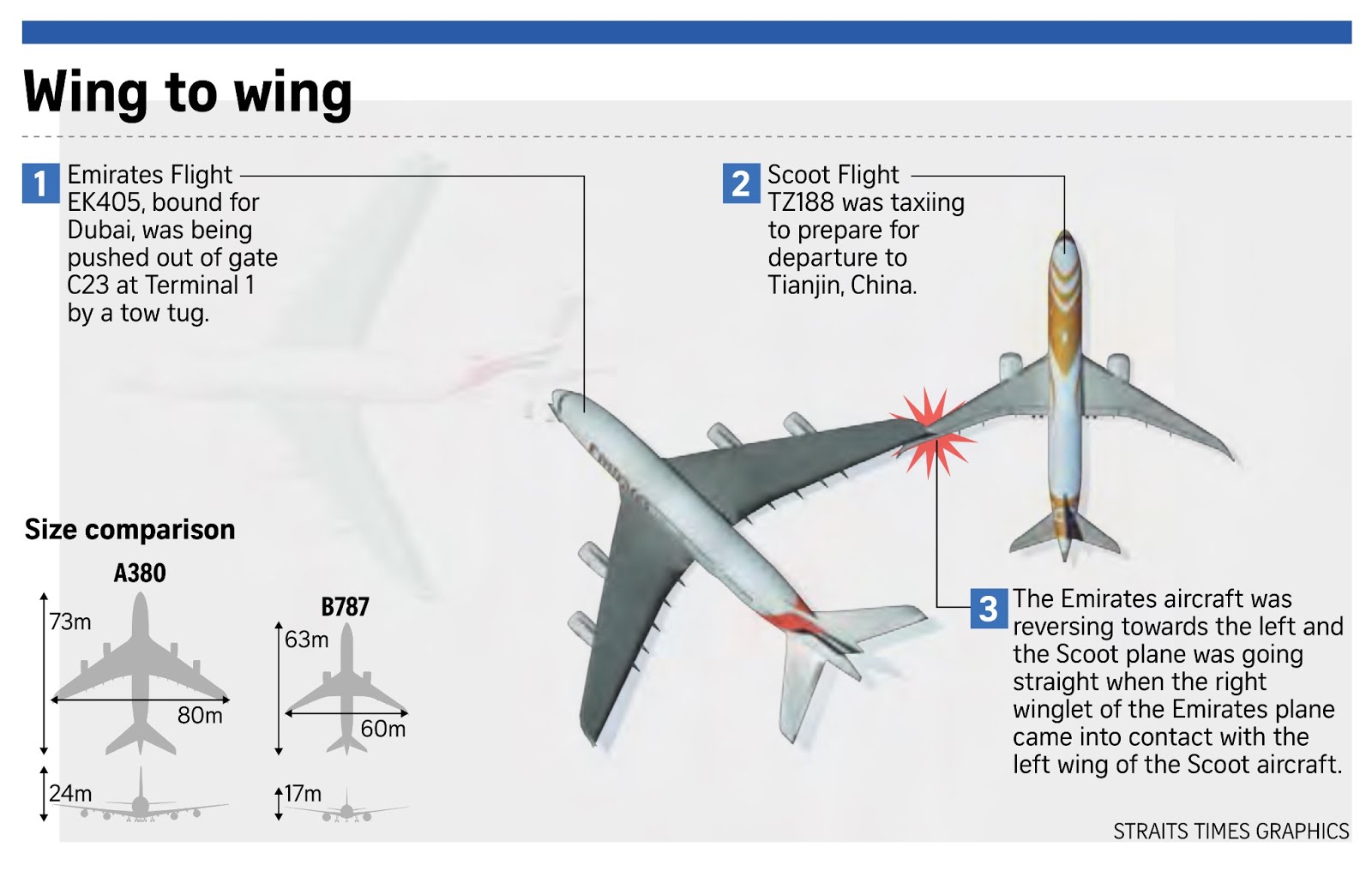 Chang's Math blog: P6 Measurement: Wing to wing