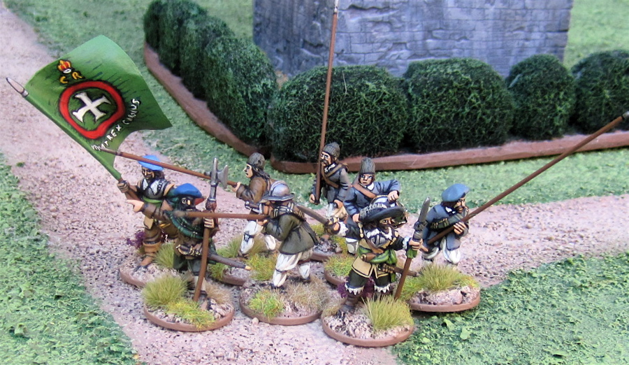 Tim's Miniature Wargaming Blog: Montrose’s Irish Pike
