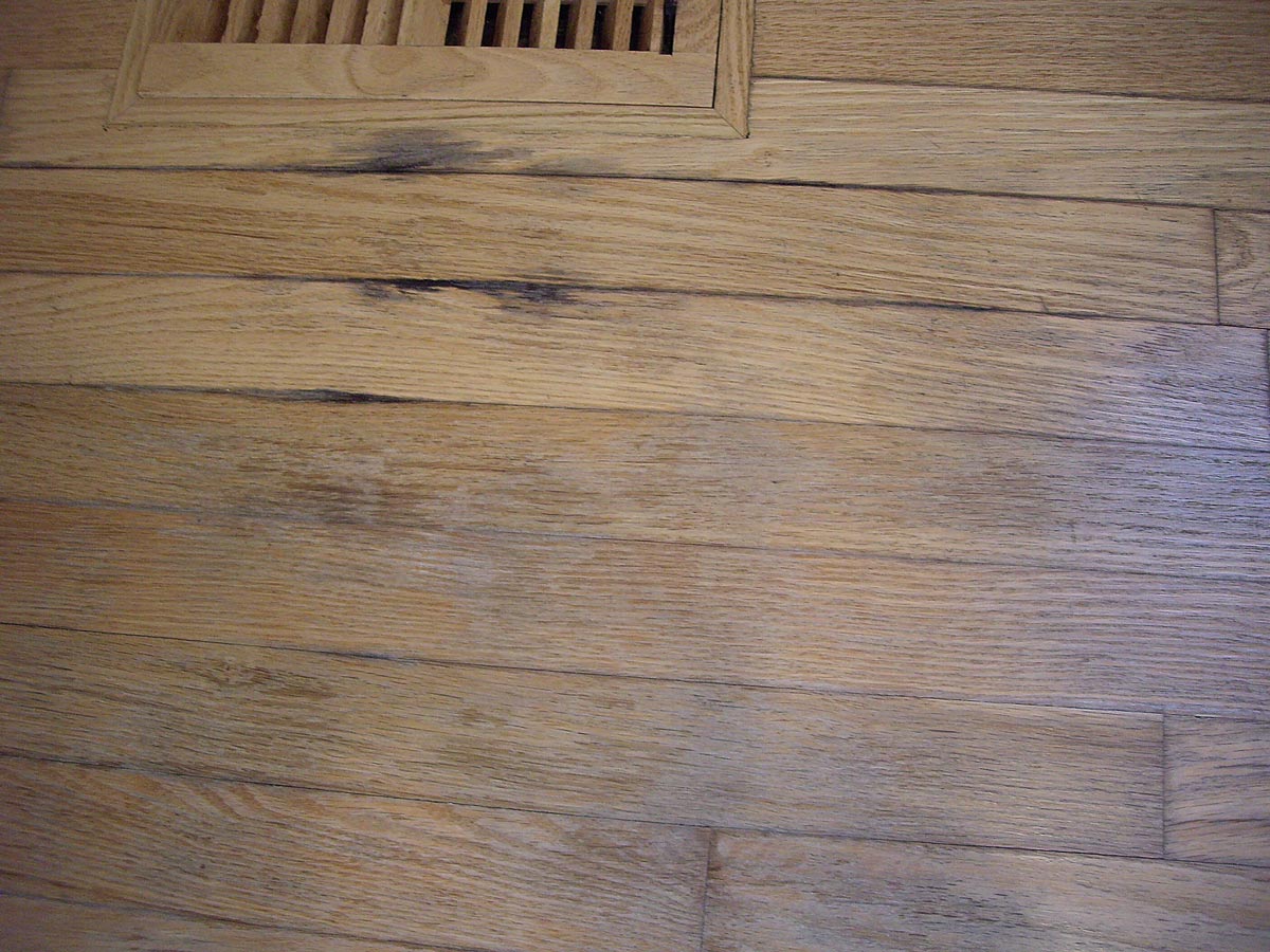 How To Minimize Water Damage to Wood Floor