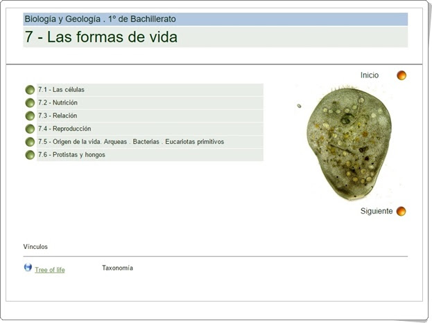 Recursos Educativos de Secundaria: Unidad 7 de Biología y Geología de ...