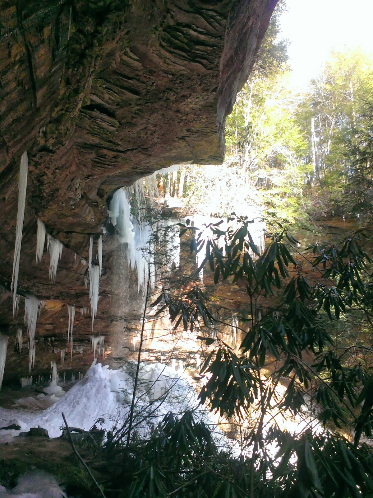 TRAVELING on a BUDGET : Northrup Falls located at Colditz Cove State ...