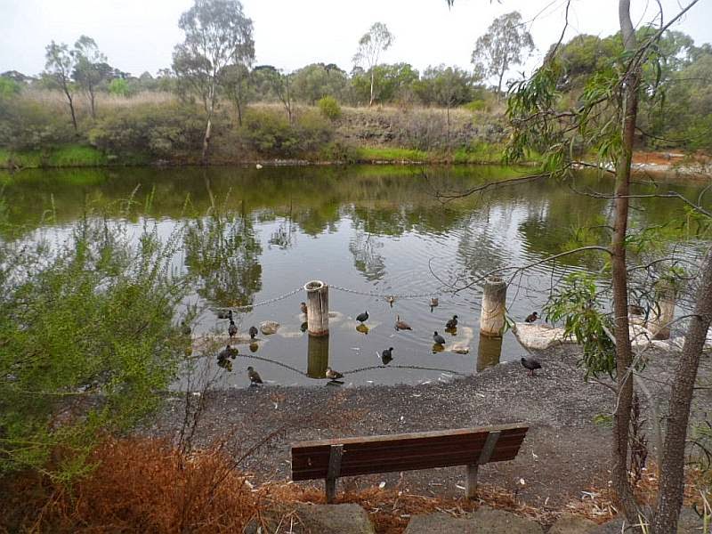 TRACKS, TRAILS AND COASTS NEAR MELBOURNE : Darebin Parklands
