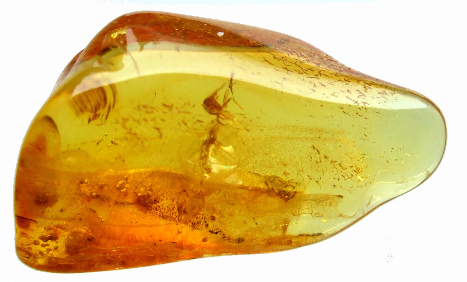 Correveidile: El secreto de las plantas, las piedras y los cristales IV ...