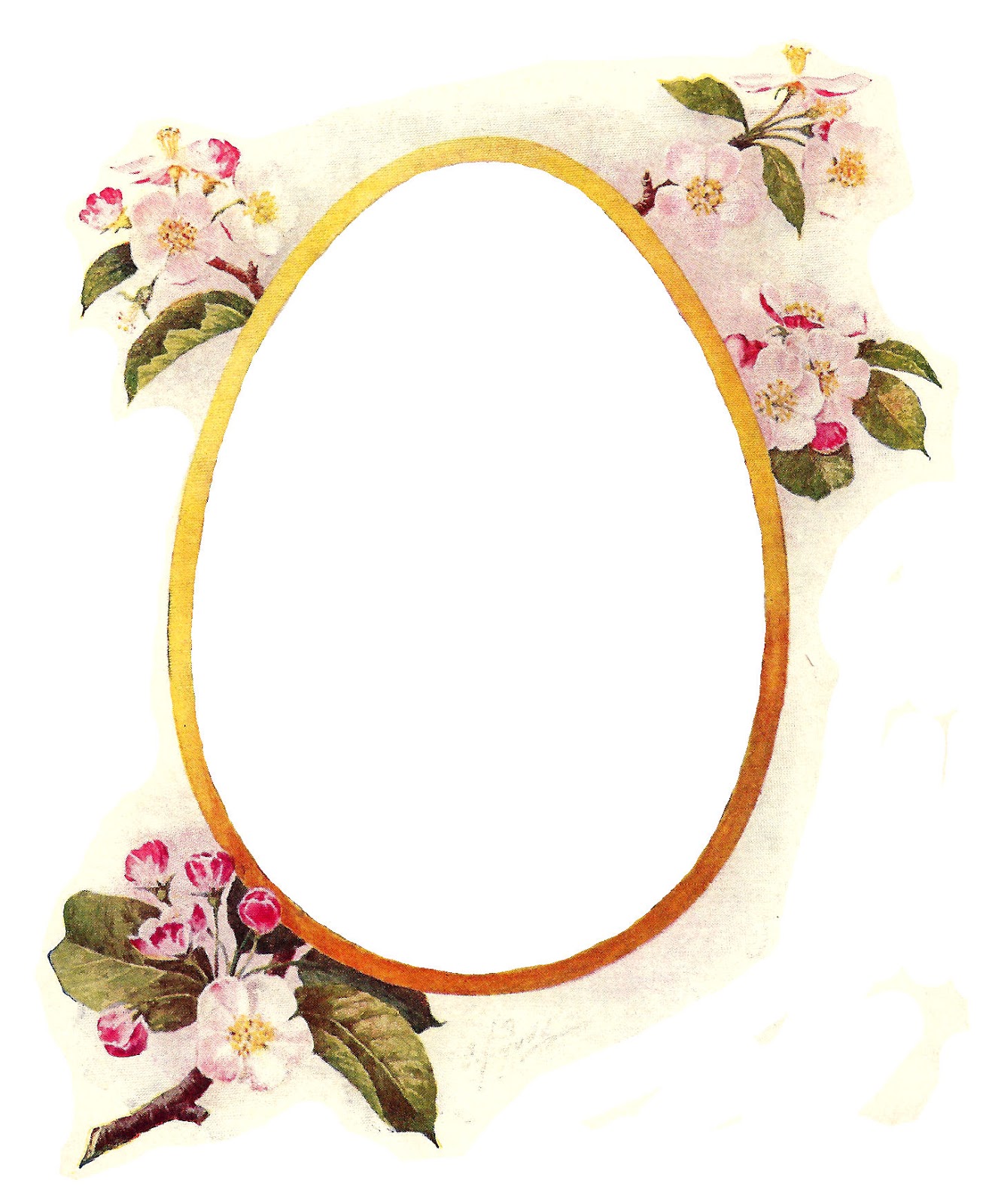 The Graphics Monarch: Printable Flower Frame Download Dogwood Botanical Art