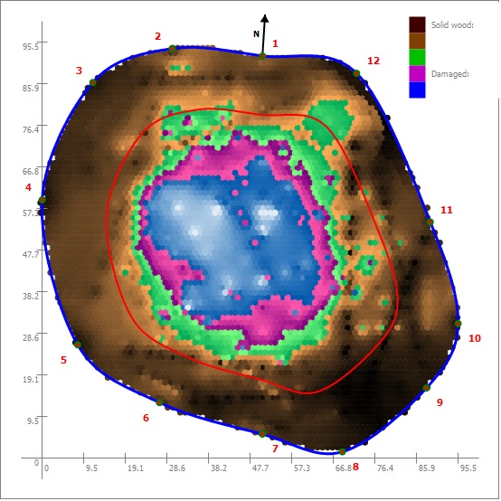 Fred Janes Consulting Arborist: Tree assessment and Picus Sonic ...