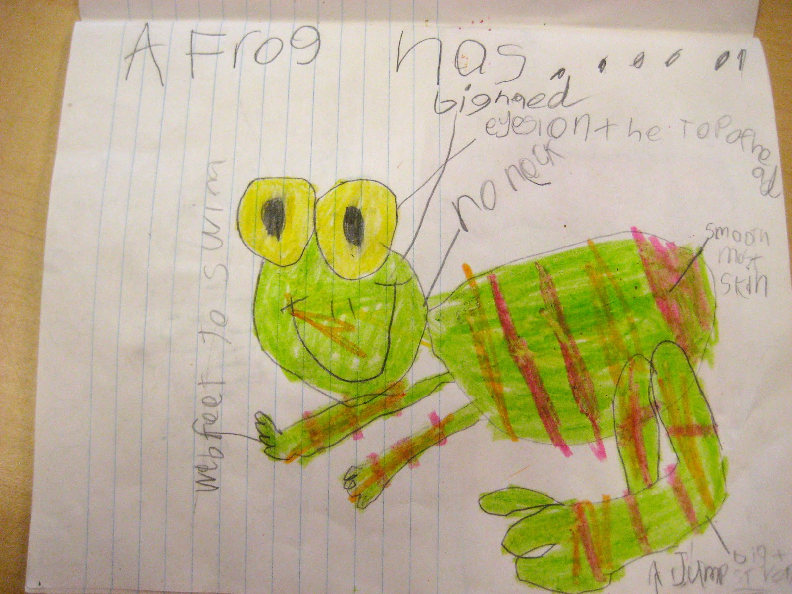 Ms. Liebel's Classroom: Science Journal - Frog Unit