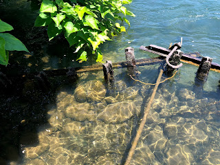 Exploring Shasta County history by Jeremy M. Tuggle: The Redding Free ...