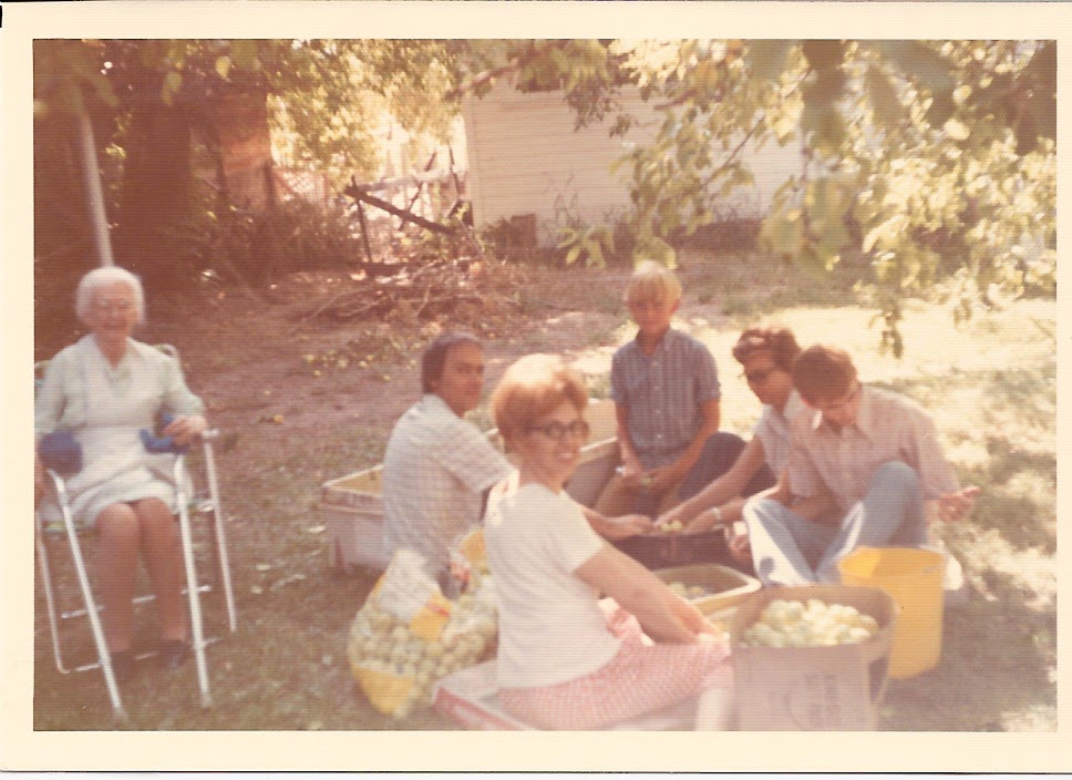 Pound Blatter Pictures: The rest of the first batch