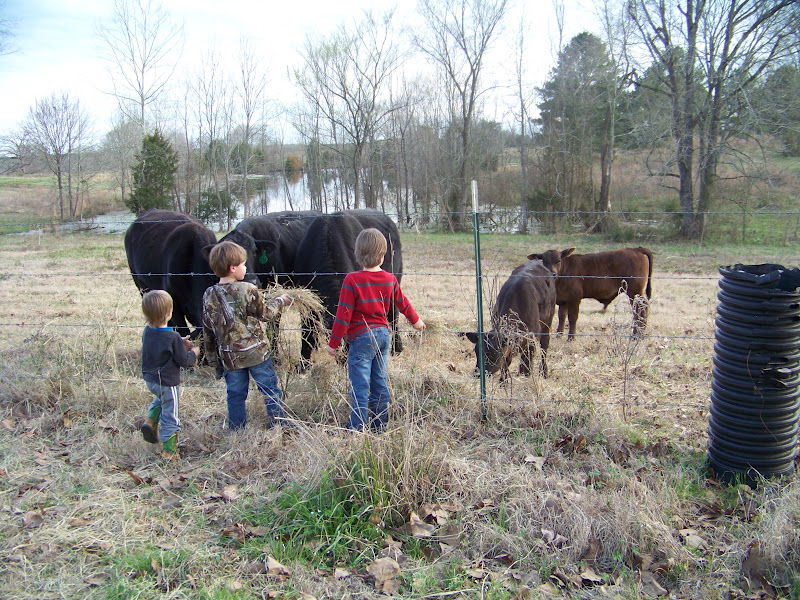 The Ferrell Boys and Me . . .: Ferrell Farm Facts - Part 1