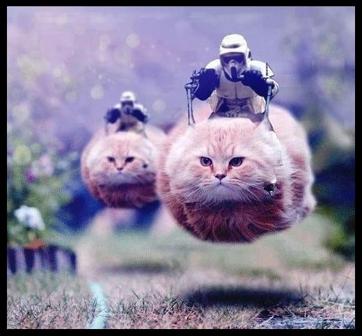 Star Wars Cat Speeder
