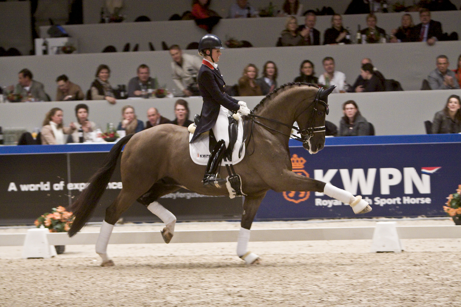 Horse Life and Love: Greatest Horses - Valegro