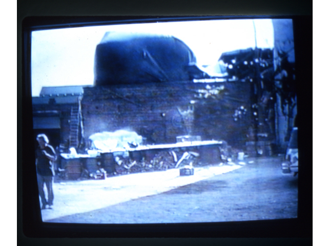 tos ethan pettit gallery: The Inflatable Man