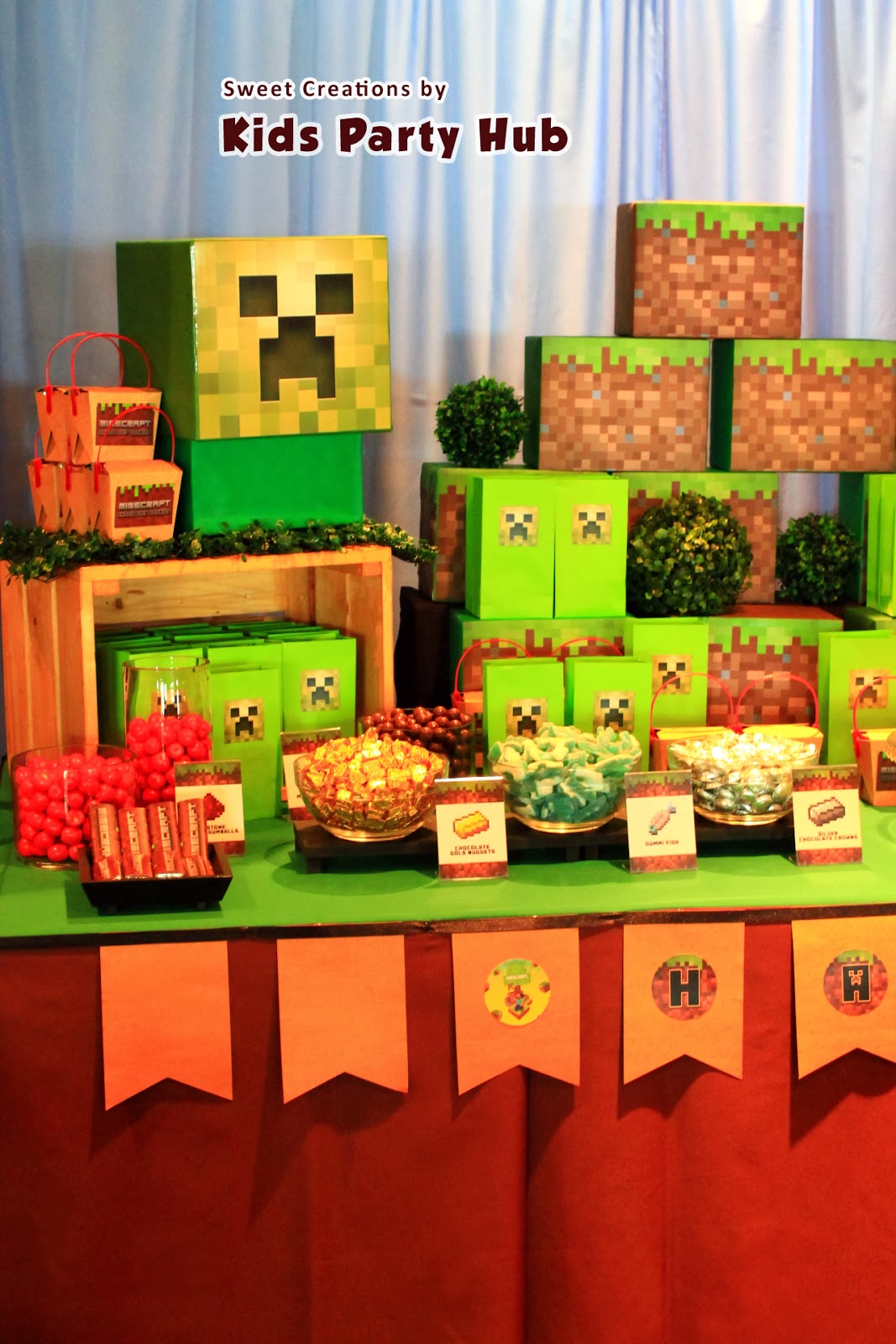Kids Party Hub: Minecraft Party Candy Buffet