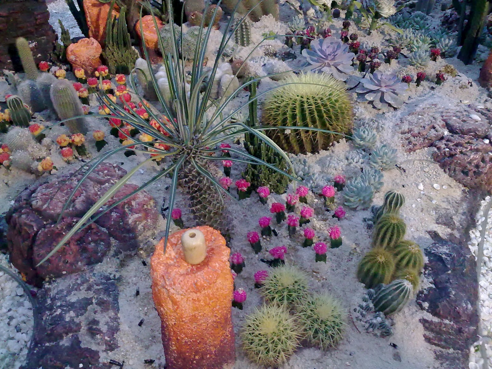 Nani Florist: PESTA FLORIA DI PUTRAJAYA JUN 2012