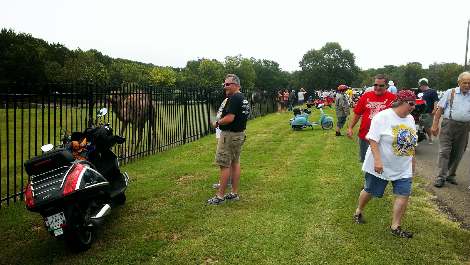 North Texas Scooter Rally