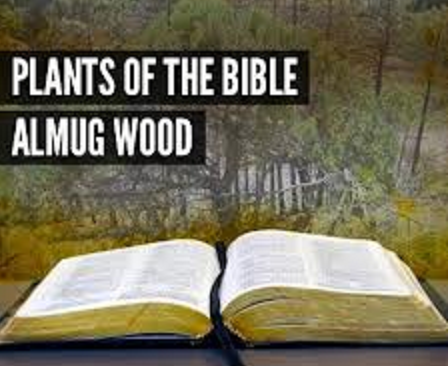 The Theophilus Account: Trees of the Bible