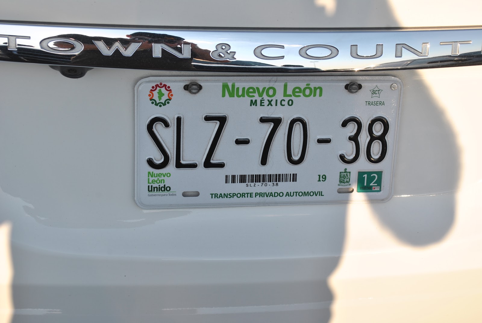 The T family travels: Mexican License Plates
