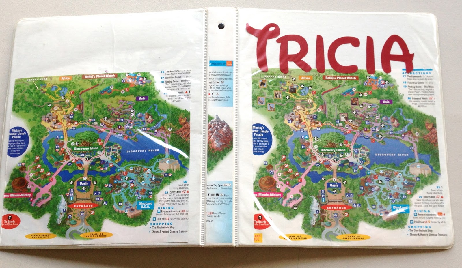 Merryweather's Cottage: Easy DIY Disney Park Map Binder | Back to School