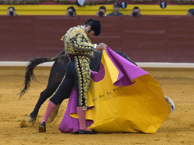 Sevillatoro: El toreo de capa