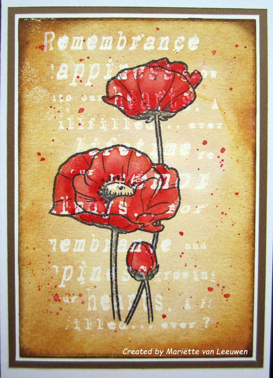 Magenta: Celebrate Remembrance Day - Jour du souvenir
