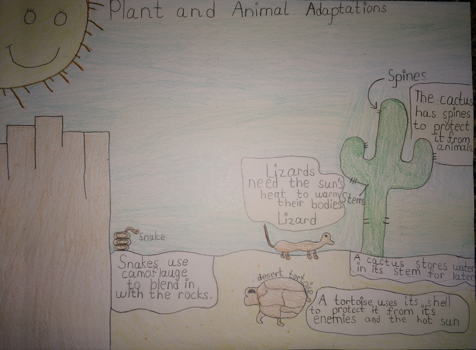 Totally Terrific in Texas: Reading Street- Desert Stories