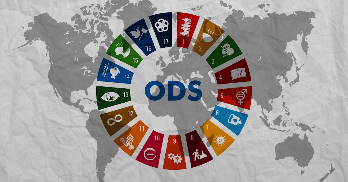 Grupo de Formación e Investigación Social Tejiendo Redes: Guía para ...