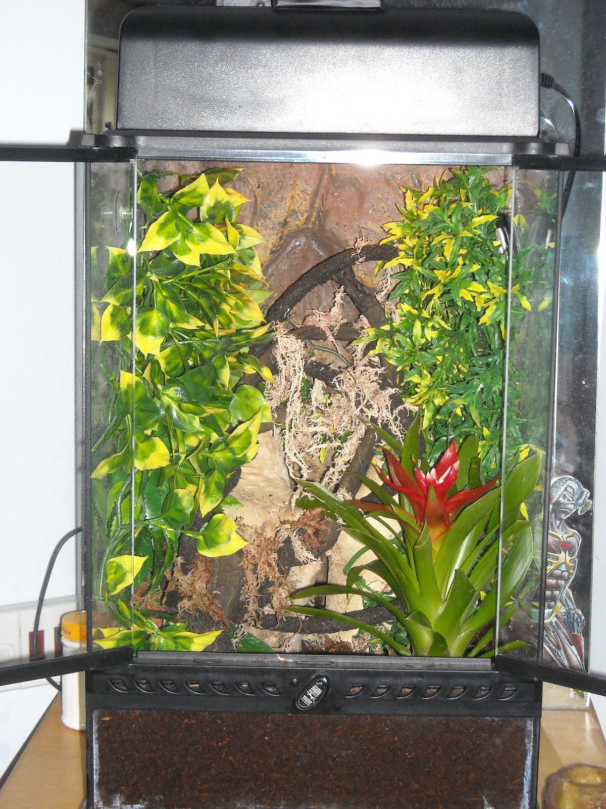 Crested Gecko Vivarium Build 2012