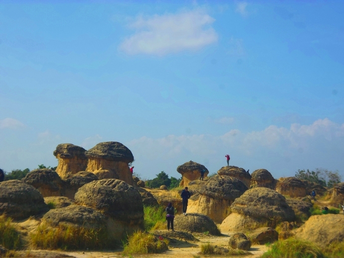 Serak Keindahan Jamur Raksasa Di Bukit Jamur - EMAKMBOLANG