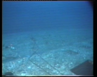 THE SINKING OF THE OCEANOS - 4th of August, 1991: The Oceanos at the ...