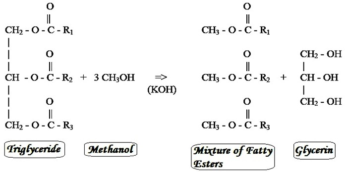 Amazing mechanical engineering