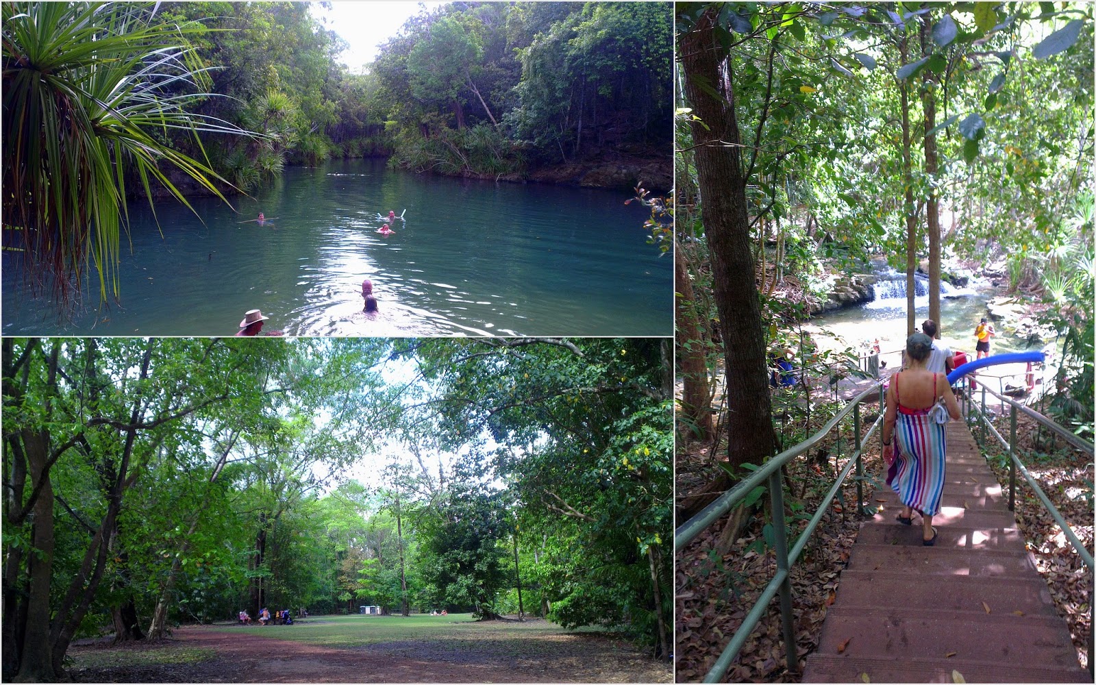 Crafty Carly: Berry Springs Nature Walk NT