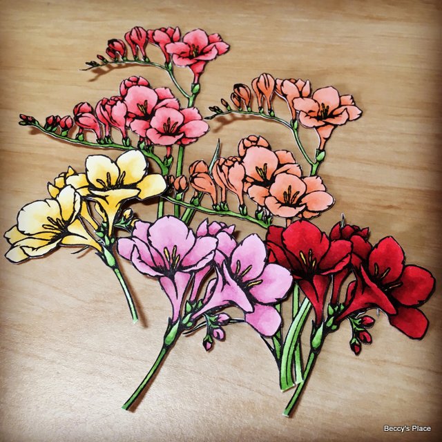 Beccy's Place: Digital Release: Simply Freesias