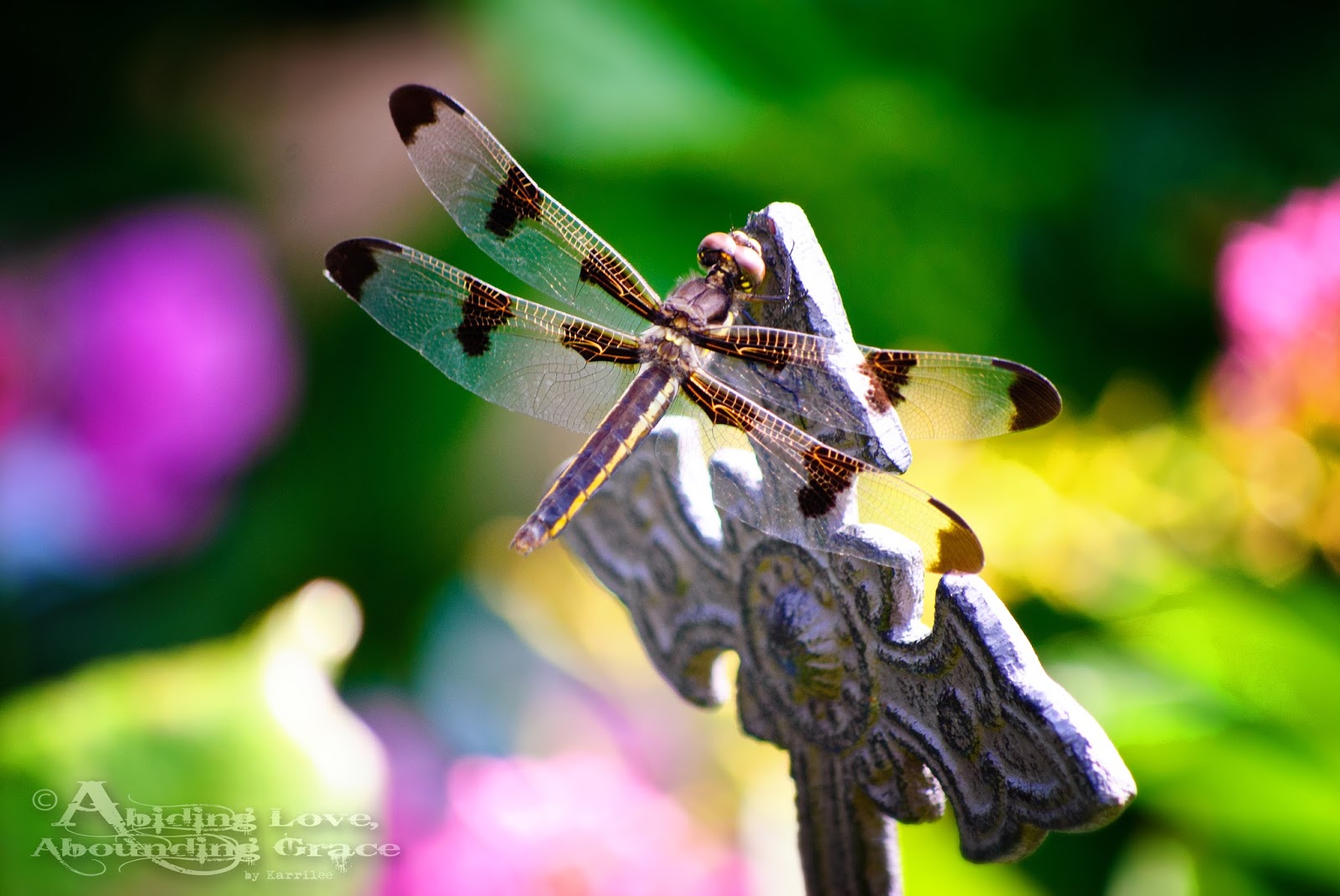 Abiding Love, Abounding Grace: How To Build A {New} Life: Take Notice ...