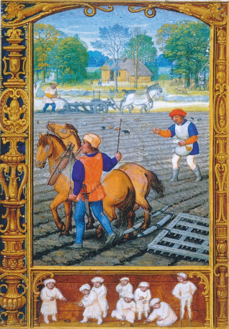 Splitter: Vor 900 Jahren – ab 1100: Dreifelderwirtschaft