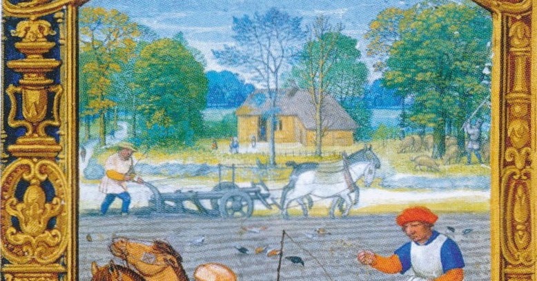 Splitter: Vor 900 Jahren – ab 1100: Dreifelderwirtschaft